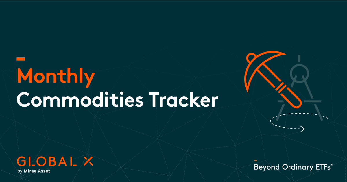 Monthly Commodities Tracker: February 2025